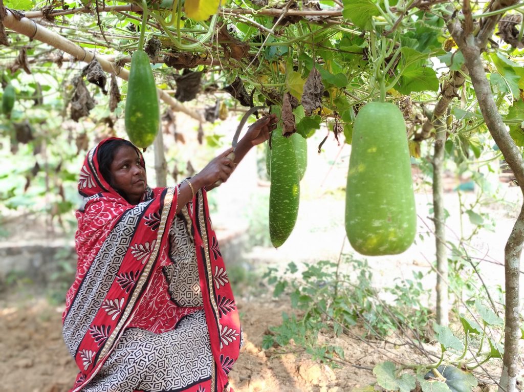 People’s Institution Building Program – ANANDO