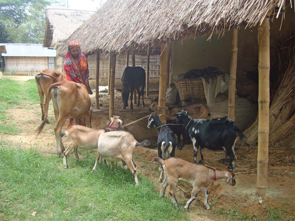 Self-Employment and Income Generating Program – ANANDO